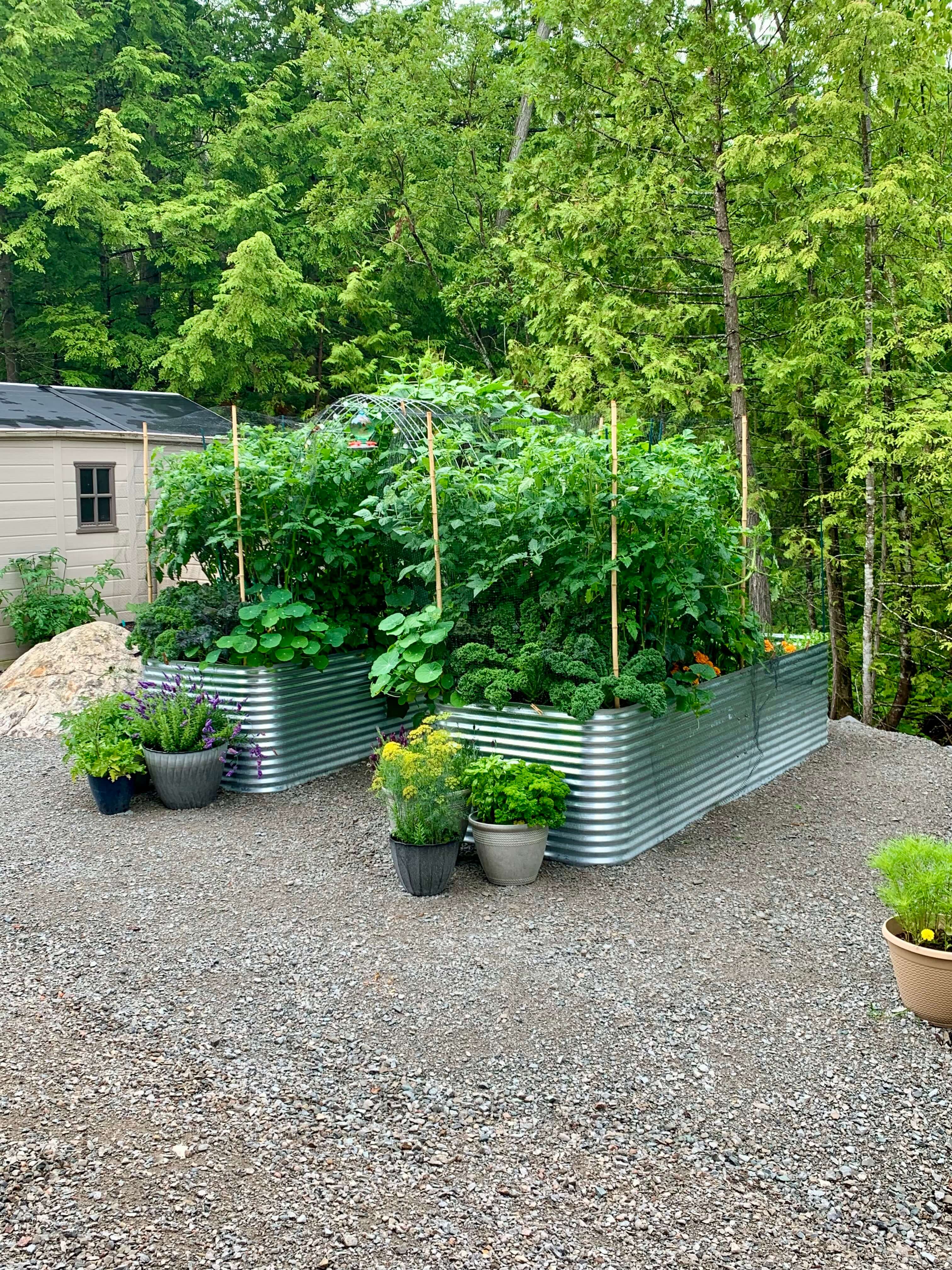 Inspiring Raised Bed Plants Gallery