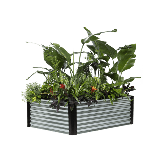 Oasis+ – Raised Garden Beds Canada