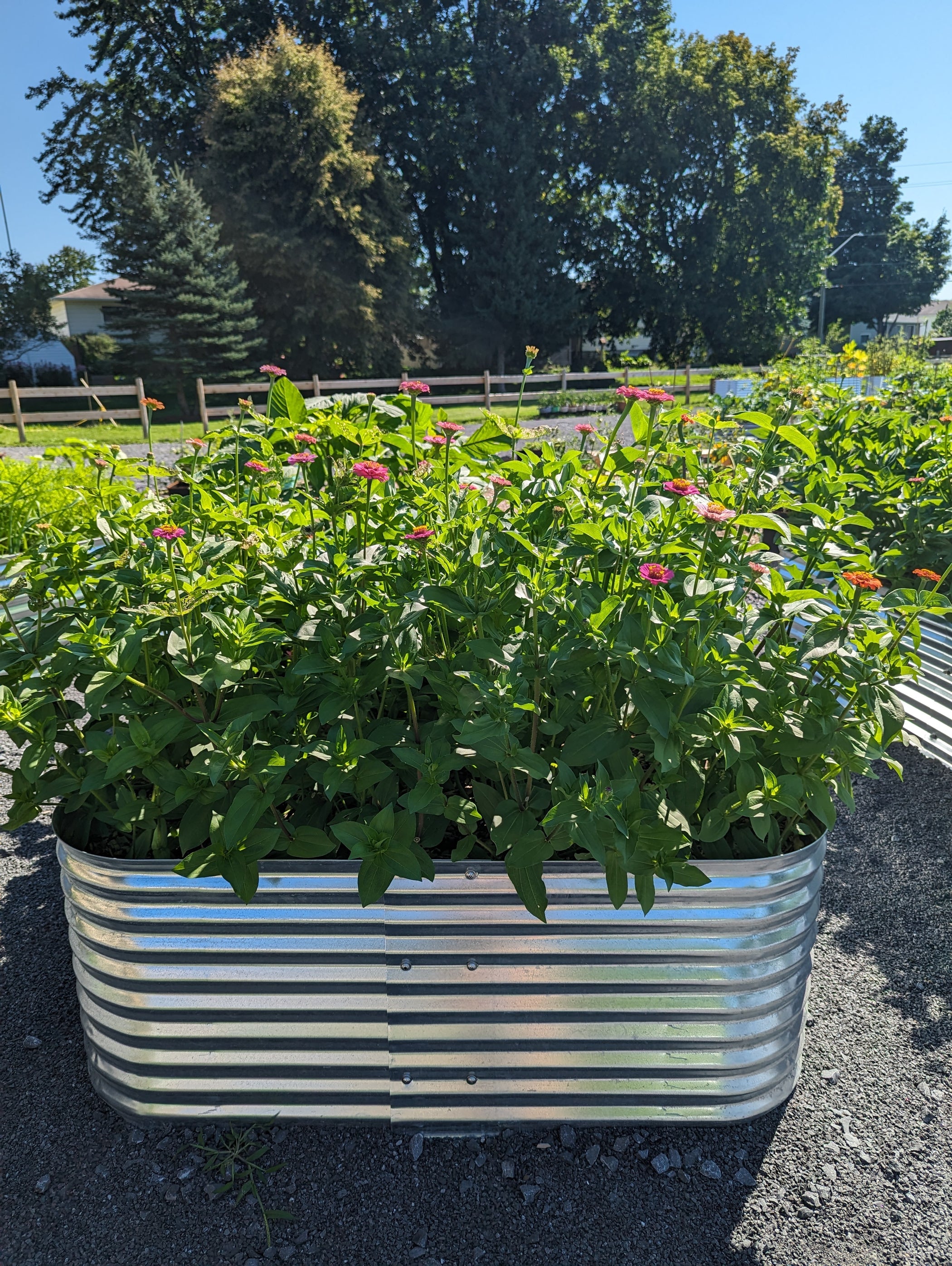 RGB Samples – Raised Garden Beds Canada